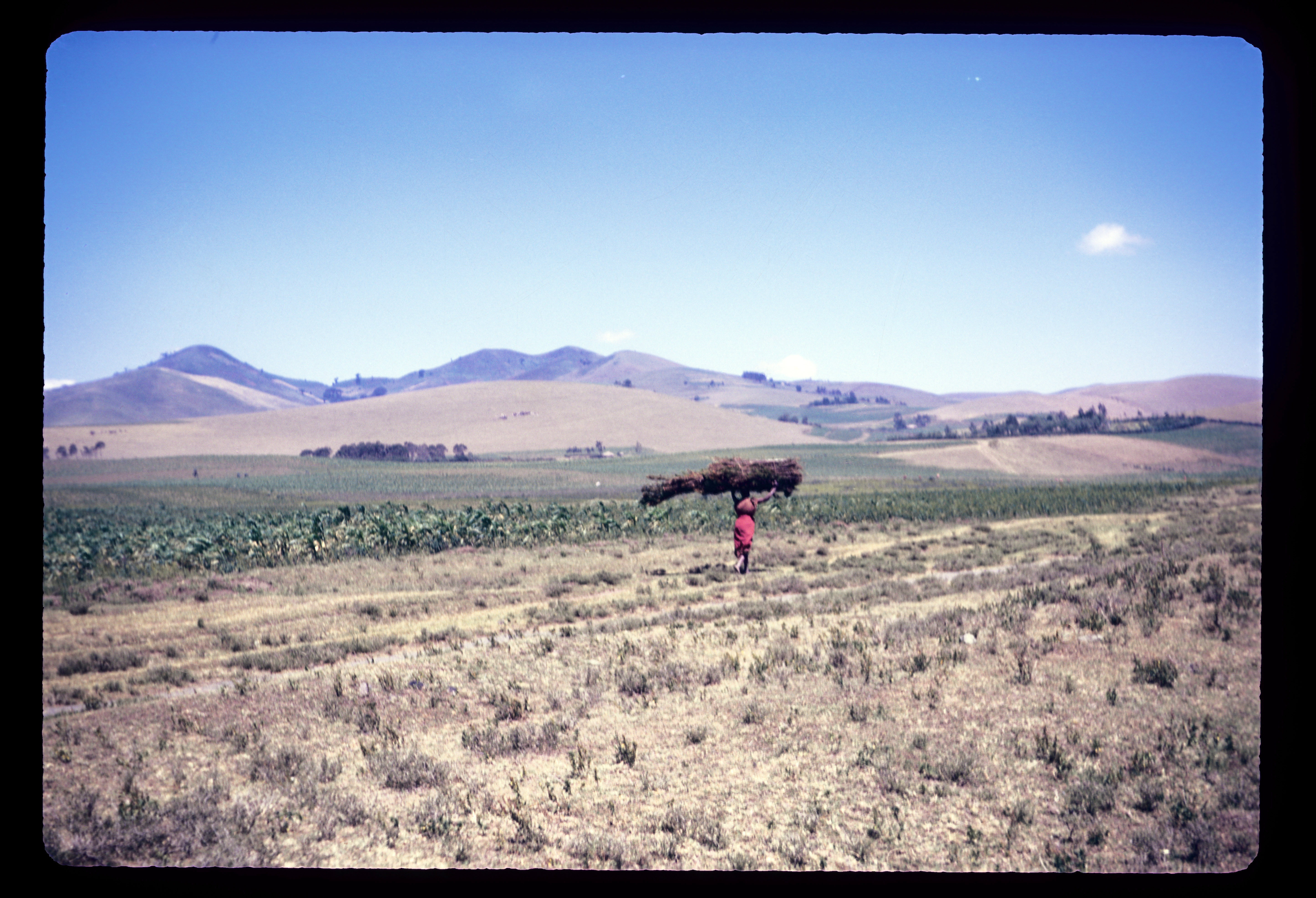 Monduli farms – Stories of East Africa by Dennis Herlocker